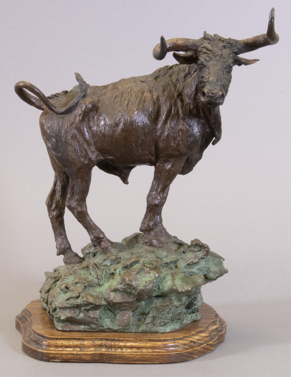 Jay Contway: STEER - Hodgins Art Auctions Ltd.