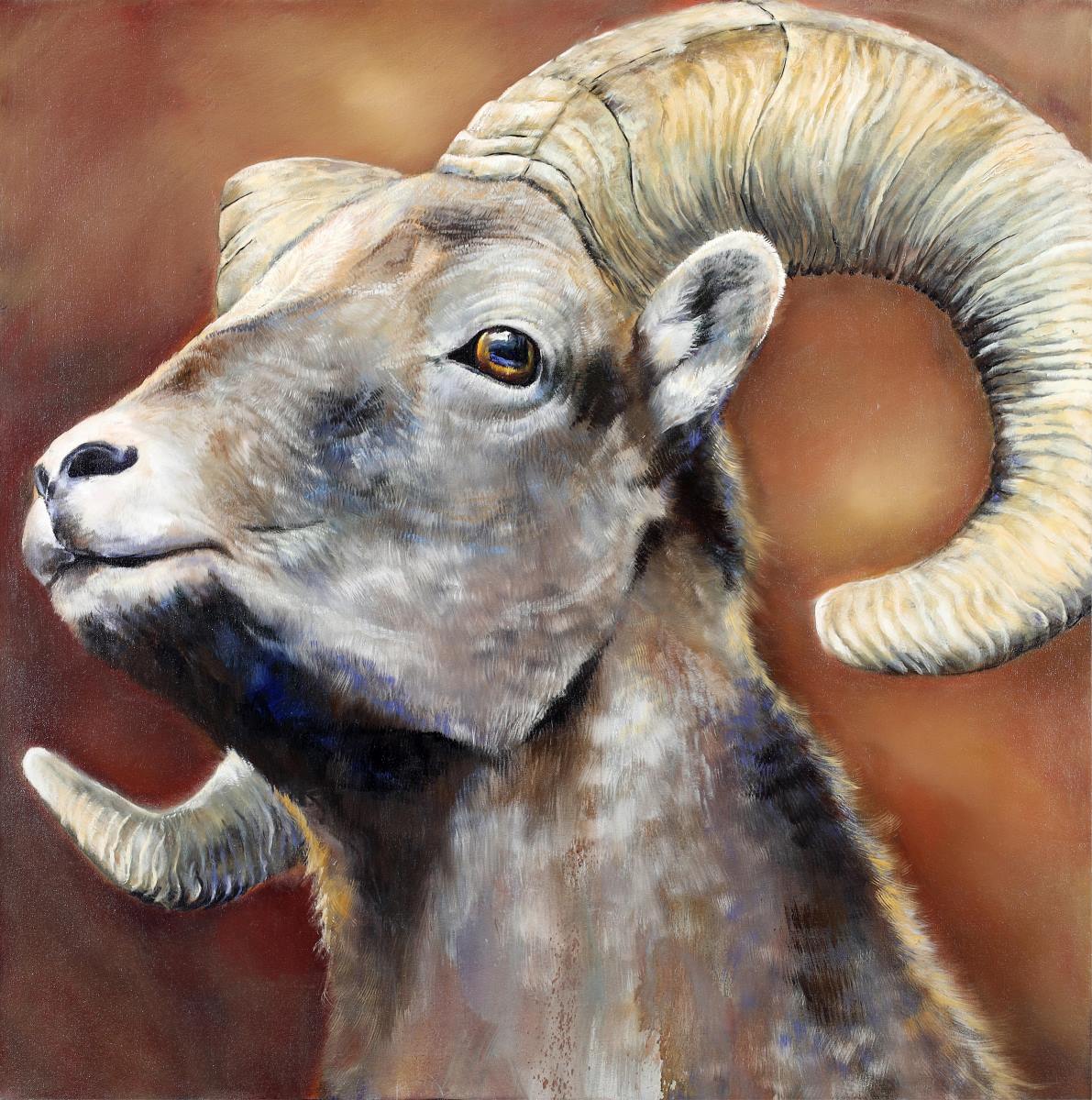 Richard Cole: GREAT HORNED SHEEP - Hodgins Art Auctions Ltd.