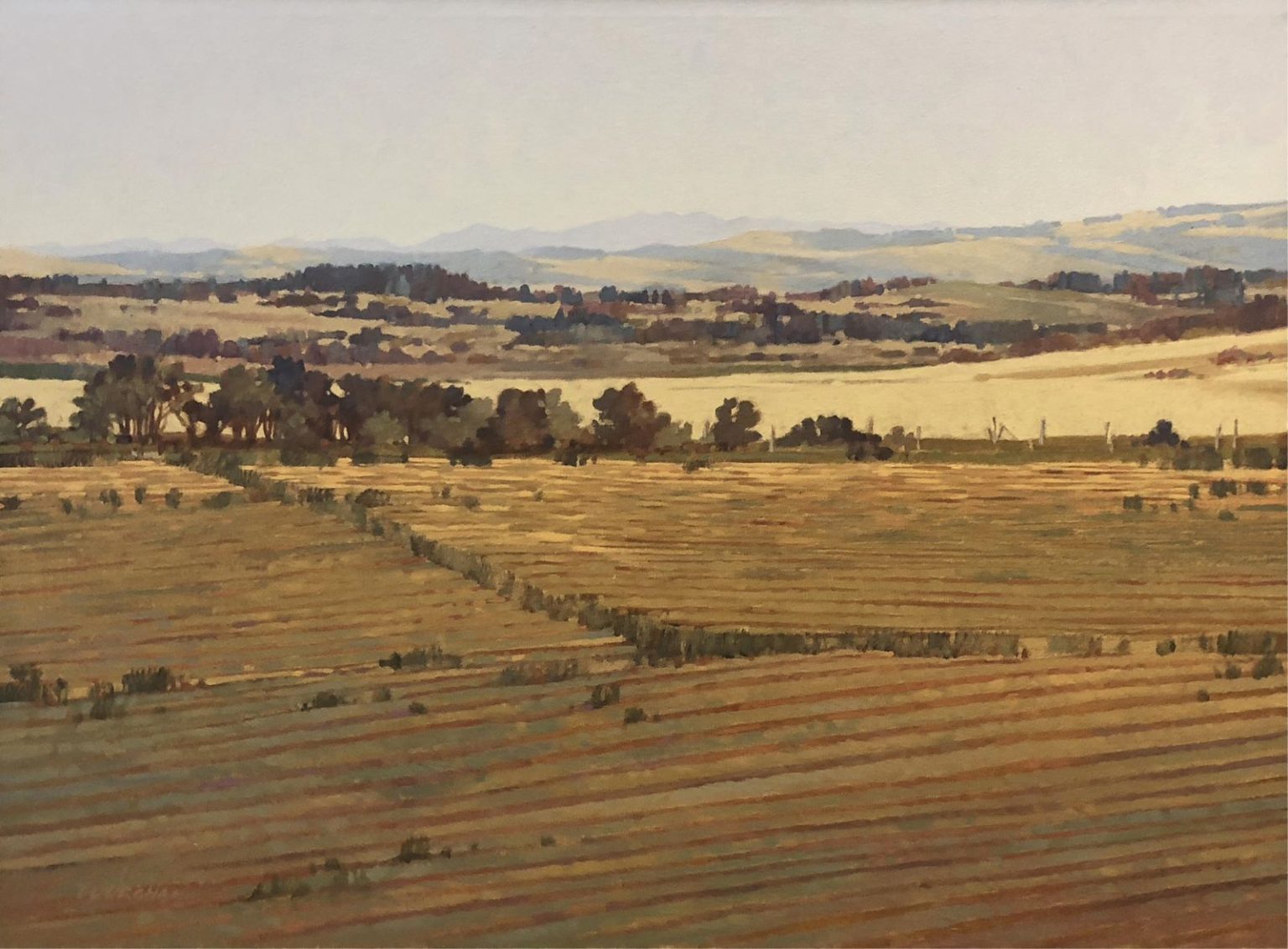 Walter Drohan: SWATH #8 - Hodgins Art Auctions Ltd.