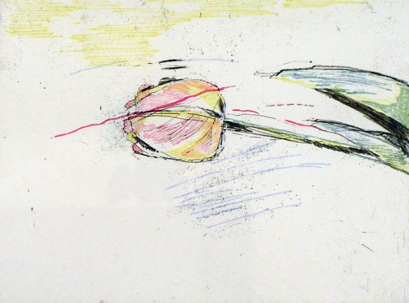 Susan Ford: SPRING TULIP - Hodgins Art Auctions Ltd.