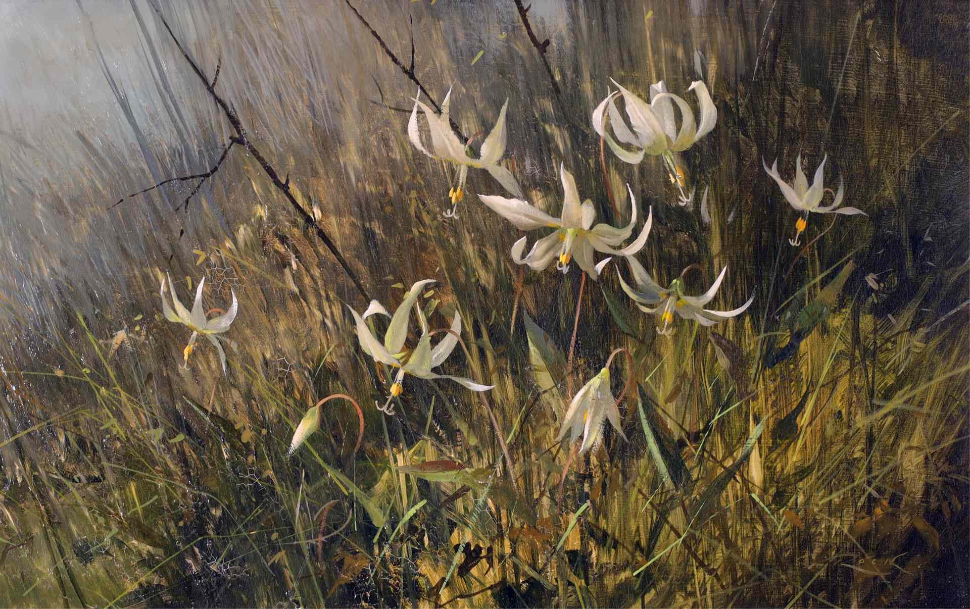 Geoffrey Allan Rock: FAWN LILIES - Hodgins Art Auctions Ltd.