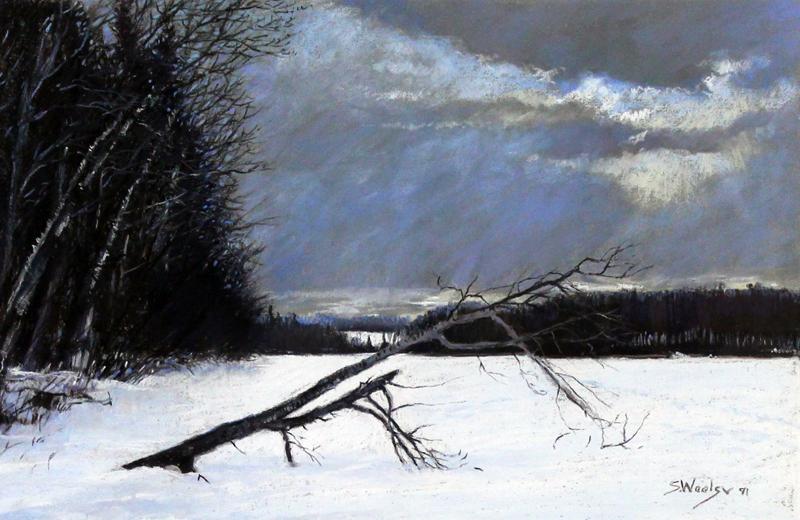Susan Woolgar: FALLEN WOOD - Hodgins Art Auctions