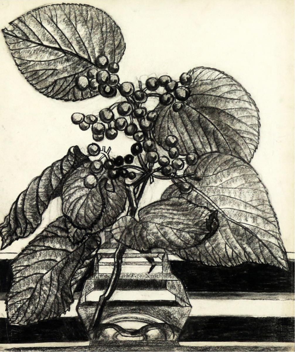 Isabel Grace McLaughlin: PLANT STUDY - Hodgins Art Auctions
