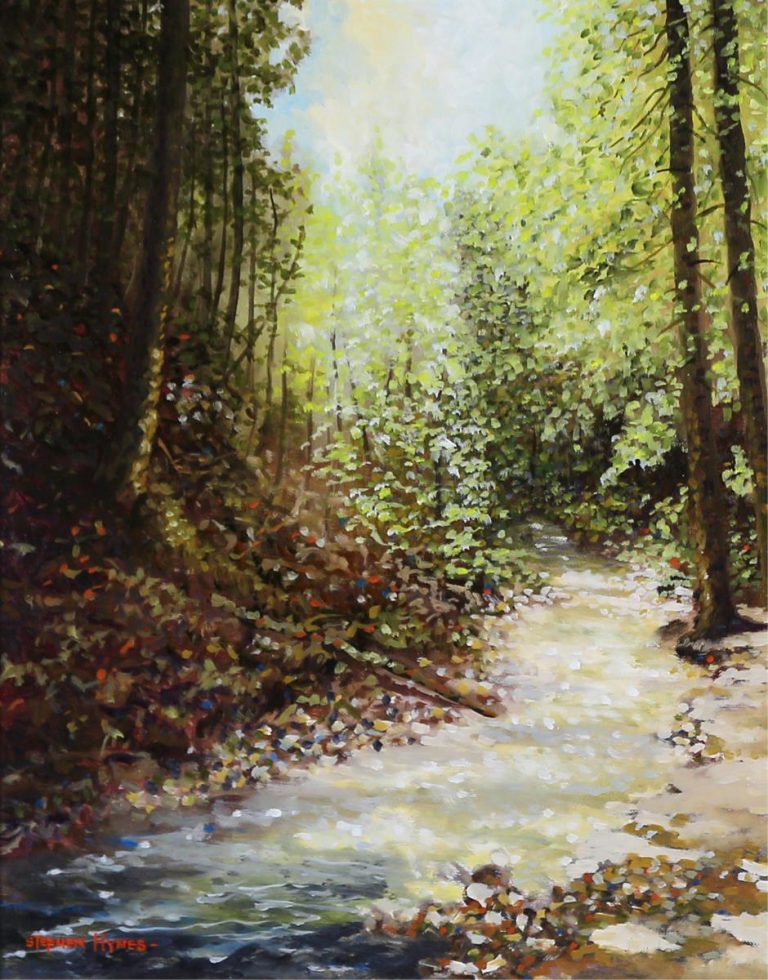 Stephen Hynes: FILTERED LIGHT (MARGARET FALLS AREA, SHUSWAP, B.C ...