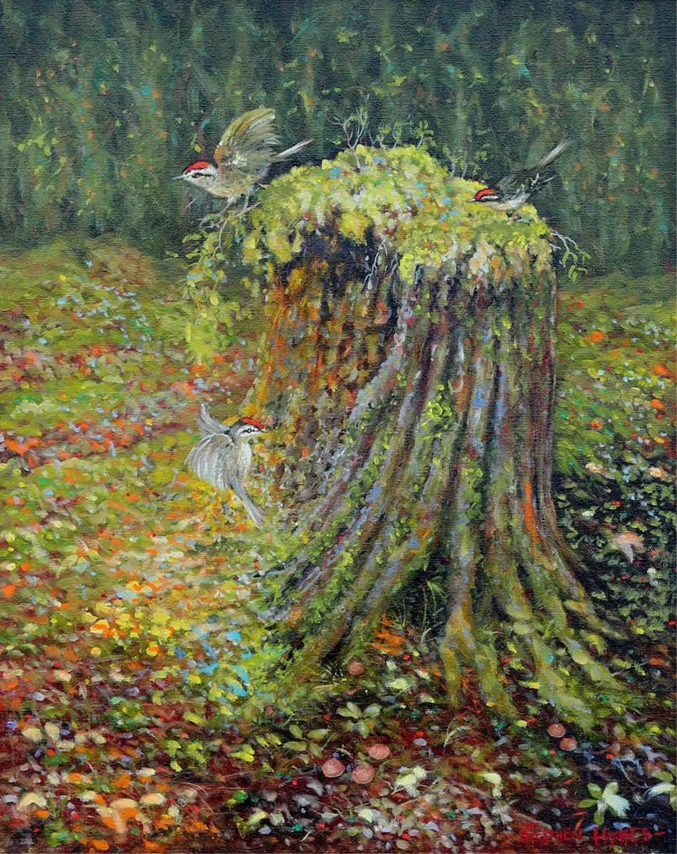 Stephen Hynes: GOLDEN CROWNED KINGLETS - Hodgins Art Auctions