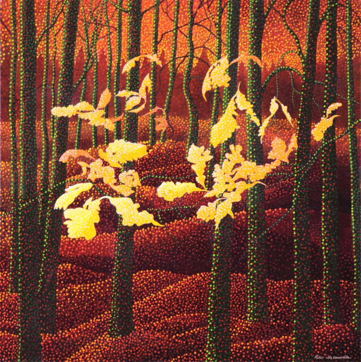 Peter McConville: OAK LEAF BLUFF - Hodgins Art Auctions