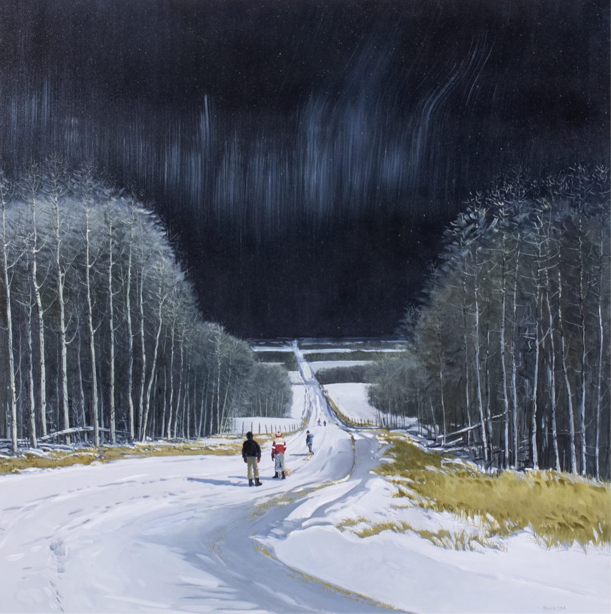 Peter Shostak: TOBOGGANING UNDER THE STARS - Hodgins Art Auction